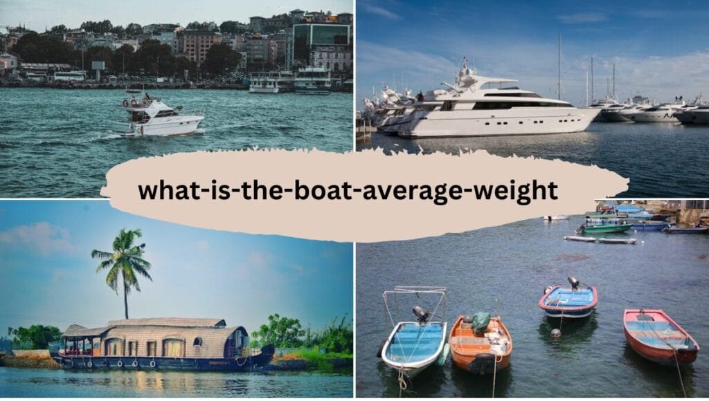 Discover The Weight of a Blue Whales | The Marine Mammal