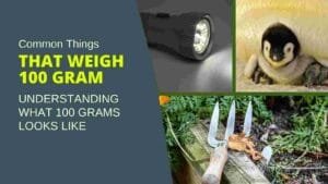 Discover What 100 Grams Really Looks Like – 17 Surprising Items!
