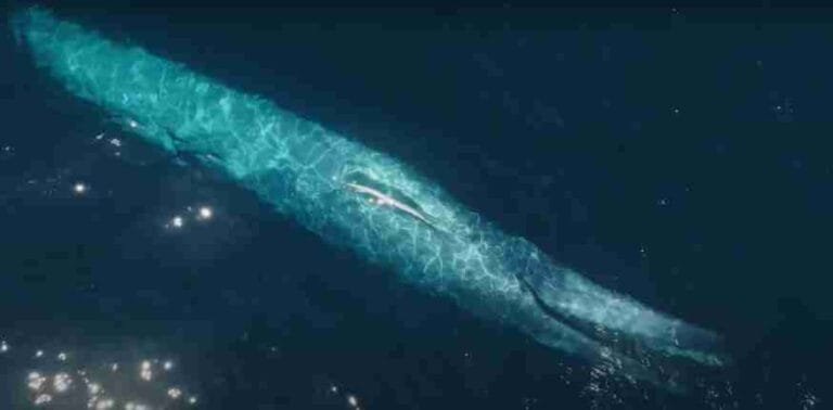 Top 7 Fascinating Things That Weigh 50 Tons – You Won't Believe