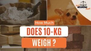 Common Things That Weigh 10 Kilograms and How Heavy They Are
